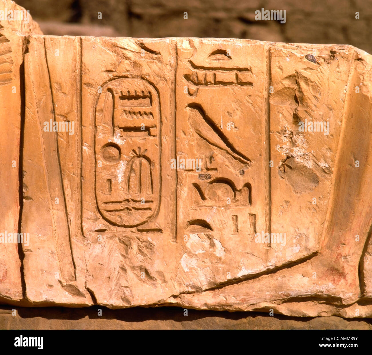 Carved hieroglyphics at Temple of Hathor, Denderah, Egypt Stock Photo ...