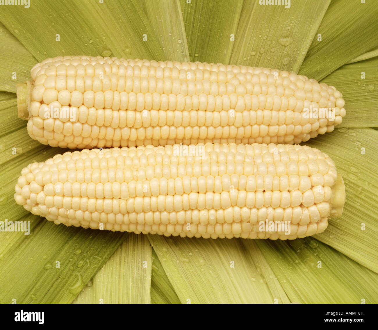 Ingredient corn husk hi-res stock photography and images - Alamy