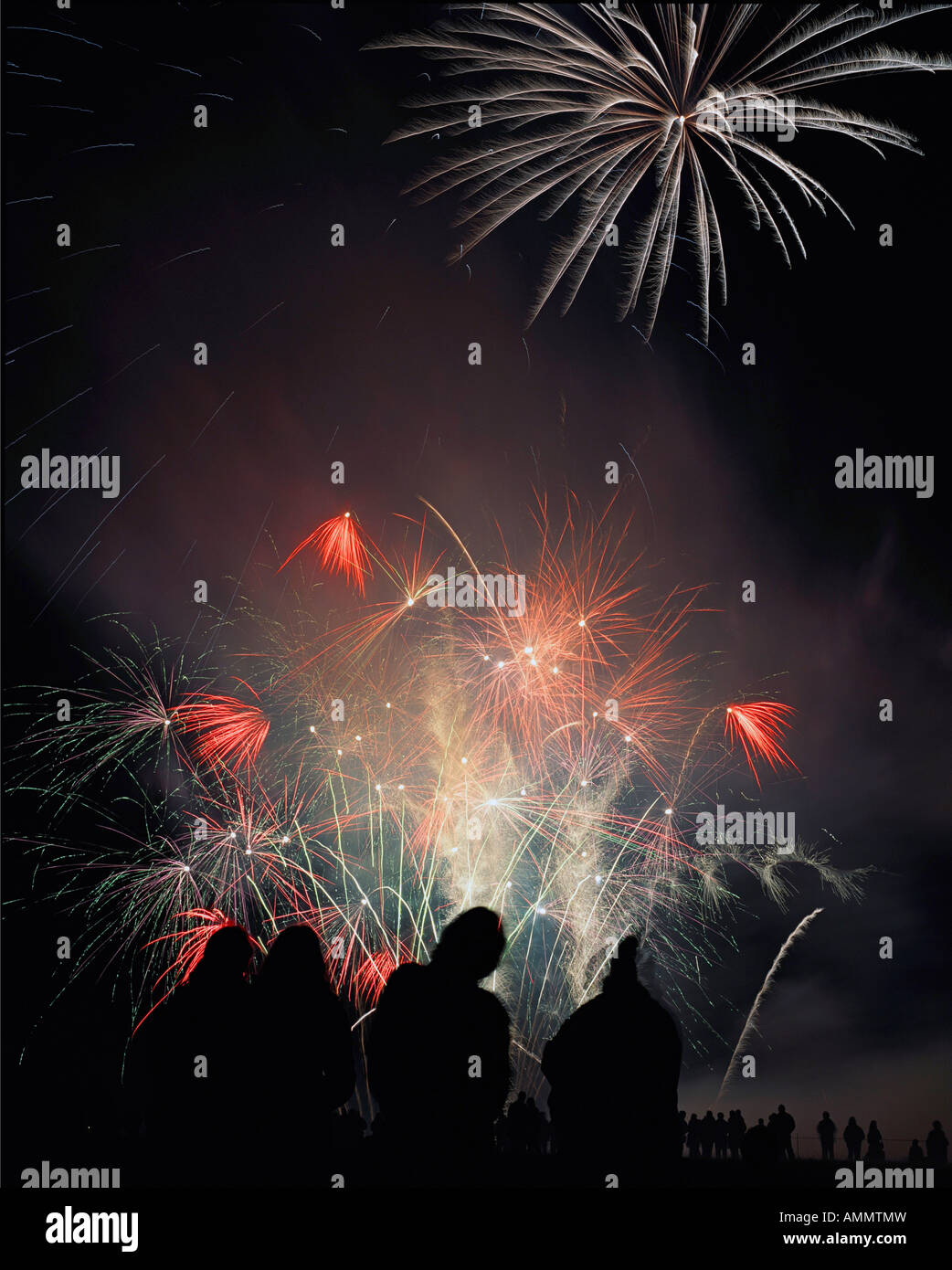 Spectators watch the Lewes Borough Bonfire Society fireworks display ...