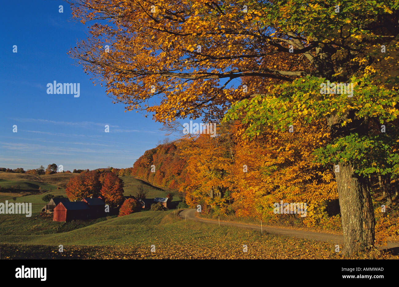Jenny farm hi-res stock photography and images - Alamy