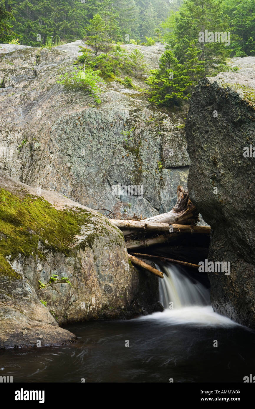 Garfield Falls in Pittsburg New Hampshire East Branch of the Dead ...