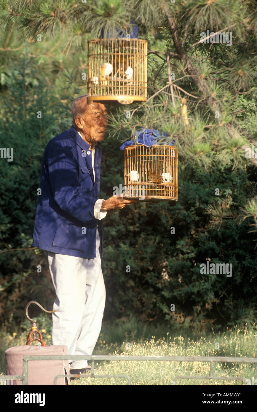 Old man with song birds in Beijing in Hebei Province People s Republic ...
