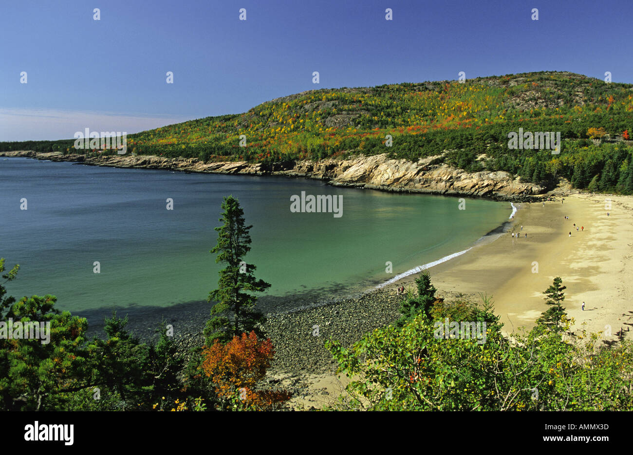 Arcadia national park hi-res stock photography and images - Alamy