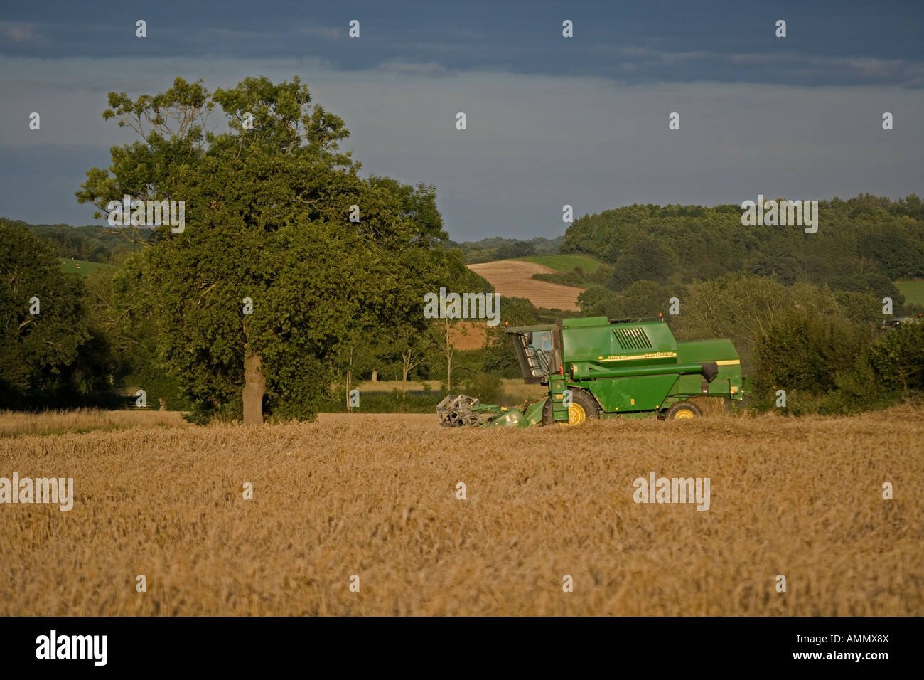Farm england august hi-res stock photography and images - Alamy
