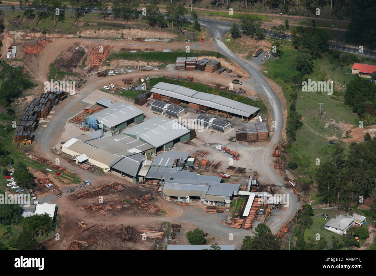 Gympie gympie tree hi-res stock photography and images - Alamy