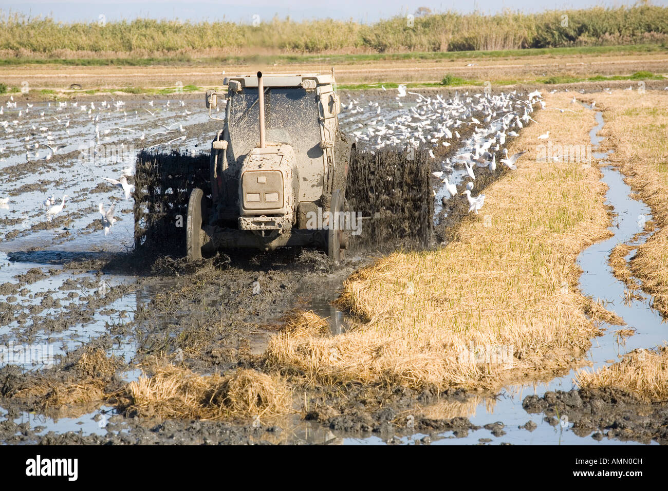Ebro tractor hi-res stock photography and images - Alamy