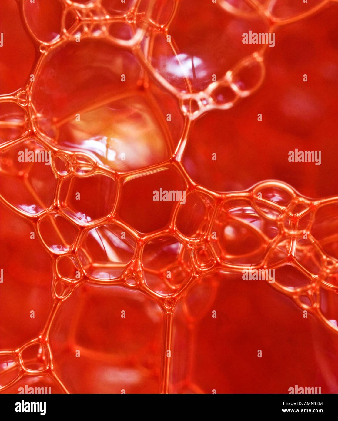 Human body art hi-res stock photography and images - Alamy