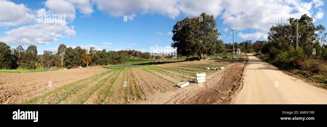 Australian farm hi-res stock photography and images - Alamy