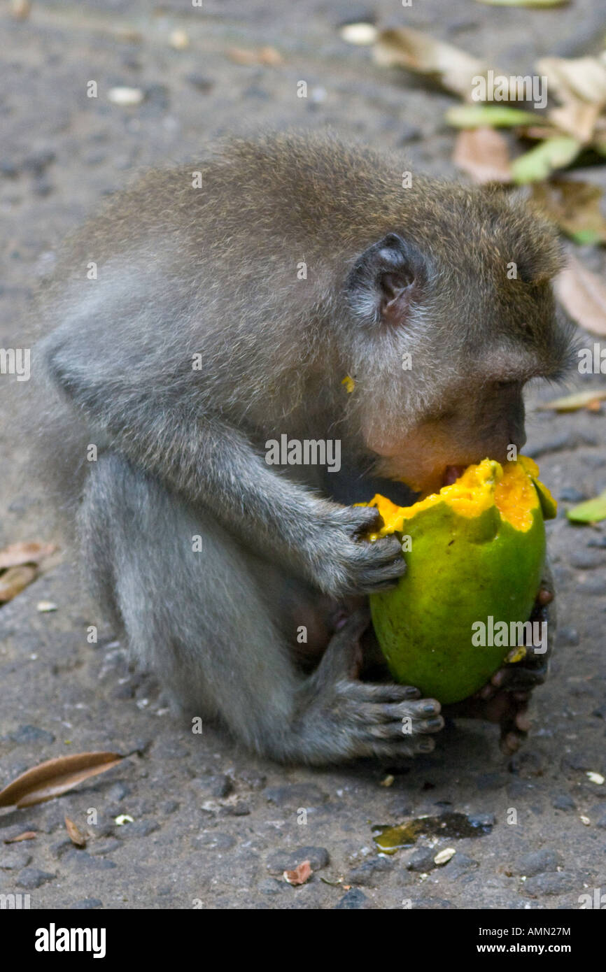 Eating mango hi-res stock photography and images - Alamy