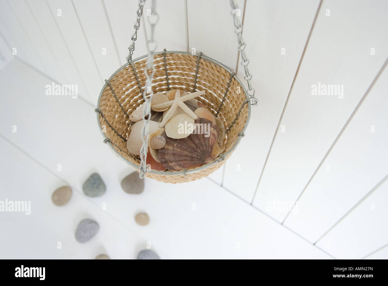 Shells in basket Stock Photo - Alamy