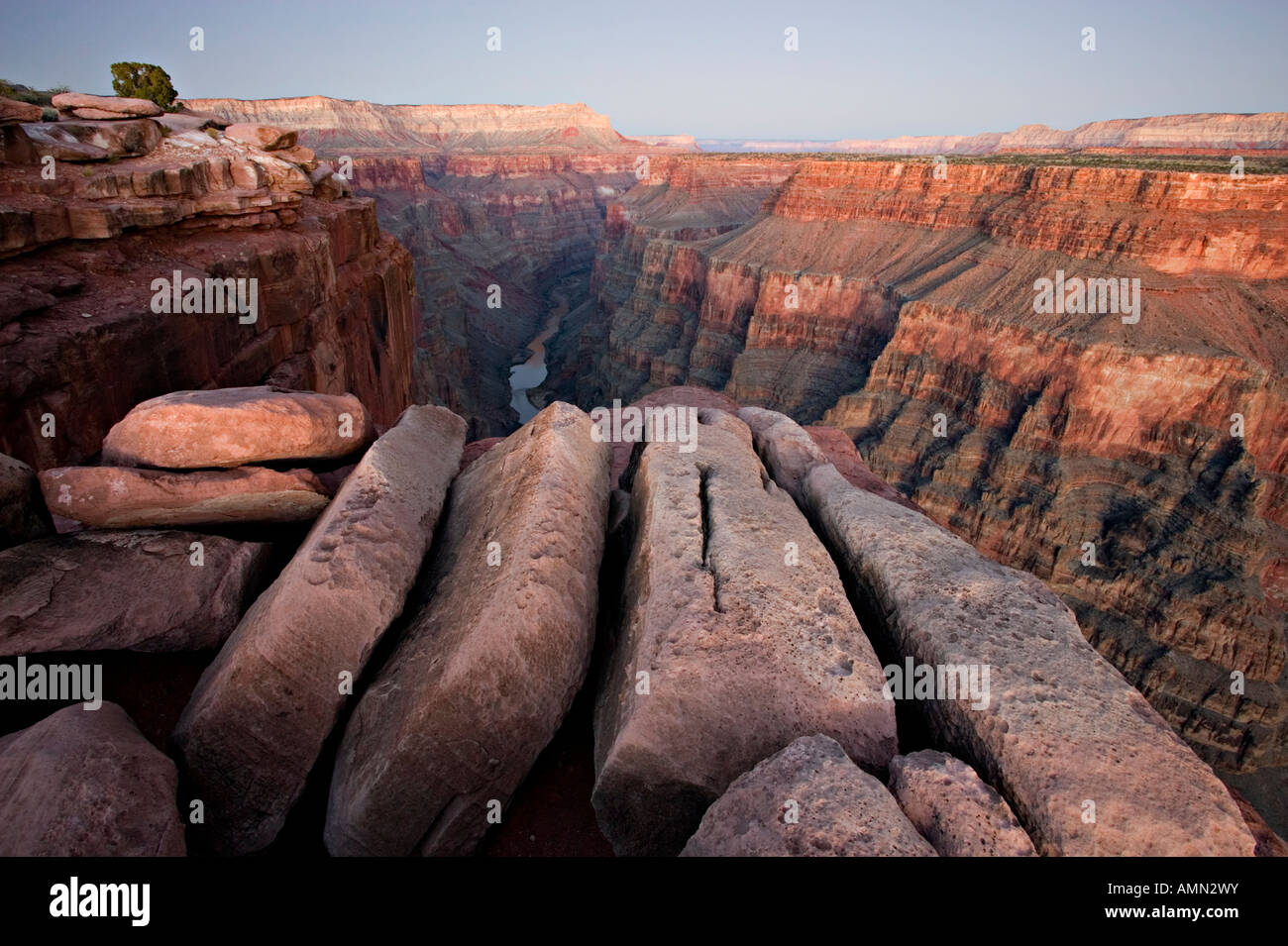 Grand canyon toroweap overlook Stock Photo - Alamy