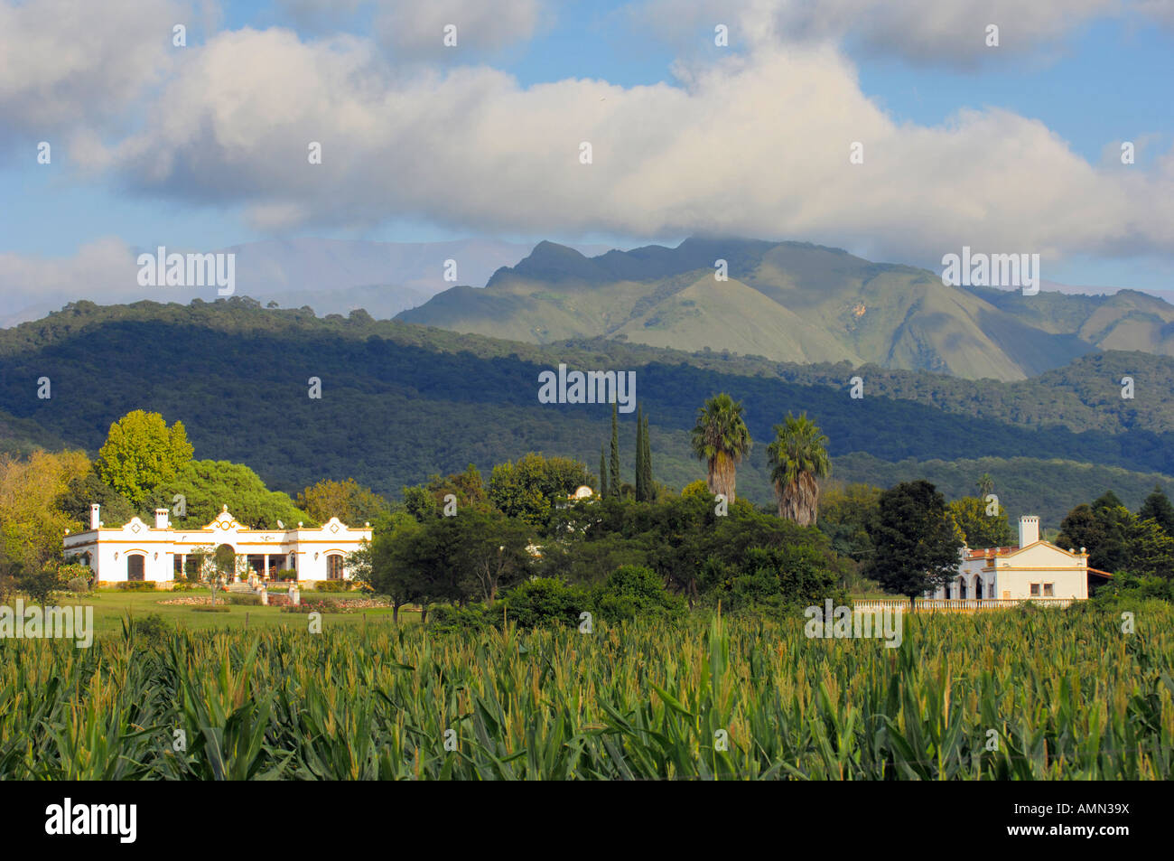 Lerma valley hi-res stock photography and images - Alamy