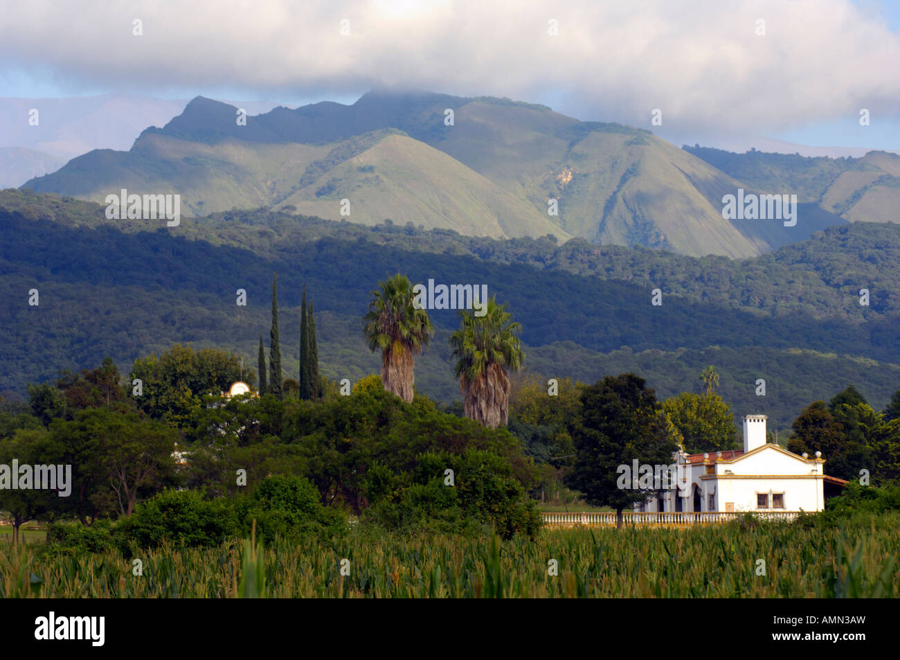 A tobaco growing estate on the Andean foothills south of Salta ...