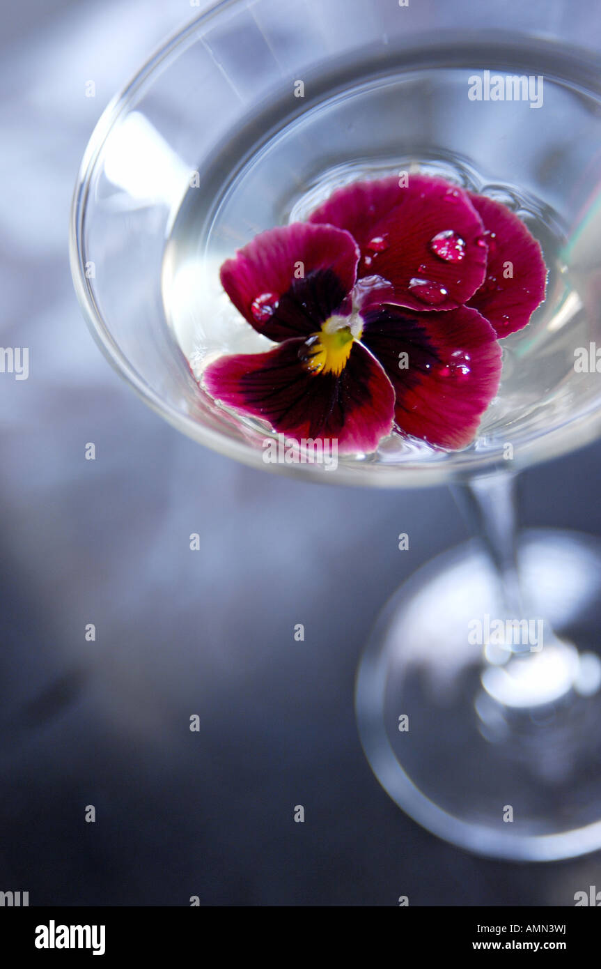 Cocktail glass and flower Stock Photo - Alamy