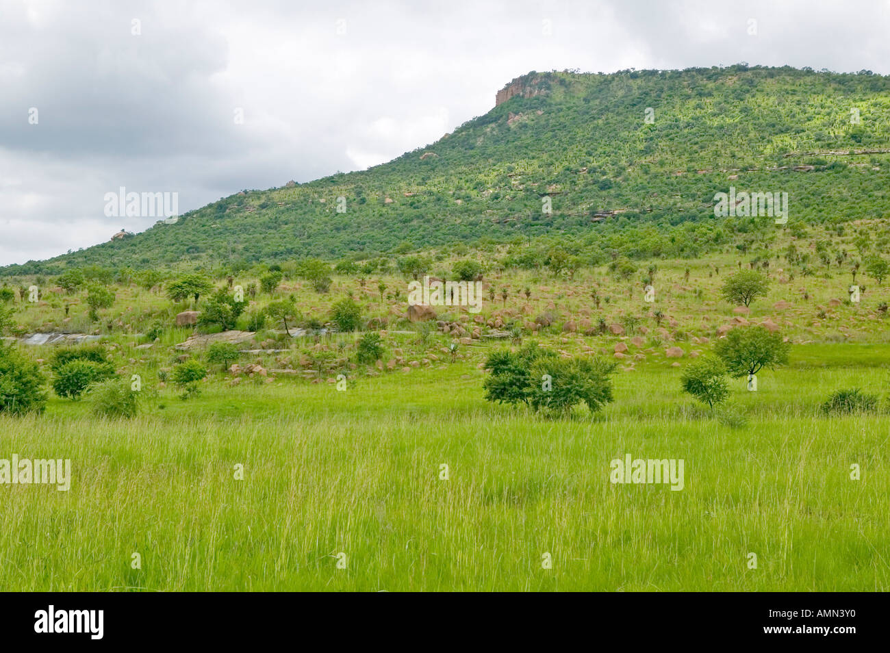 Battle of isandlwana hi-res stock photography and images - Alamy