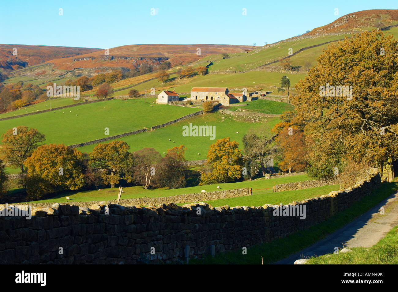 High farndale hi-res stock photography and images - Alamy