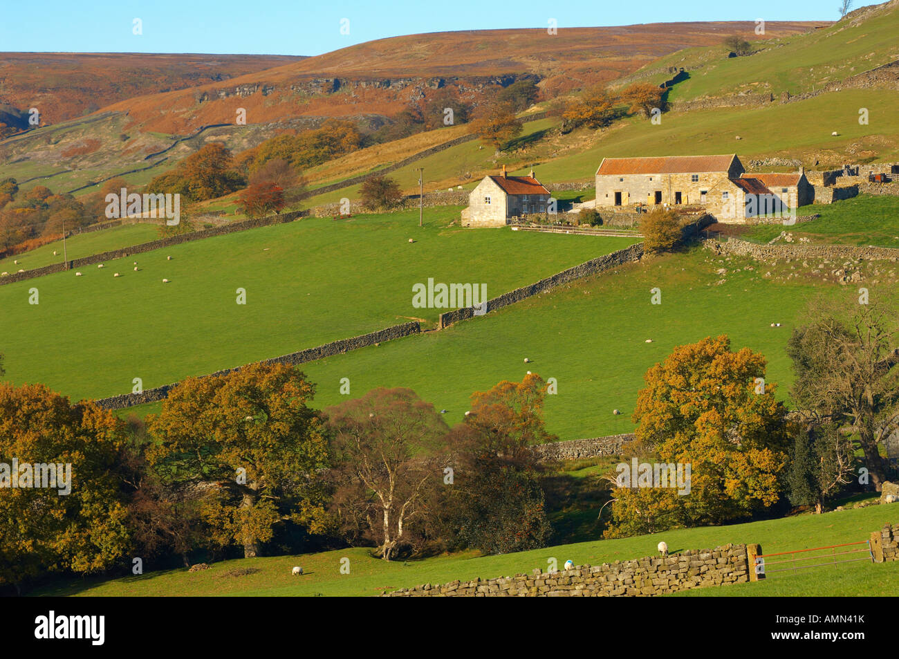 Farndale head with the last farm in the valley. North Yorkshire Moors ...