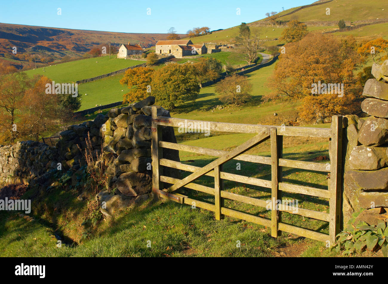 High farndale hi-res stock photography and images - Alamy