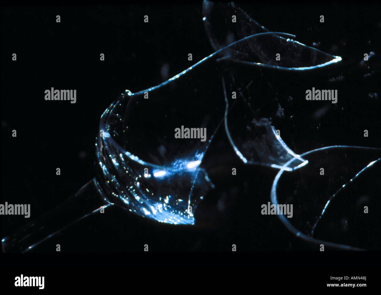 Smashed wine glass hi-res stock photography and images - Alamy