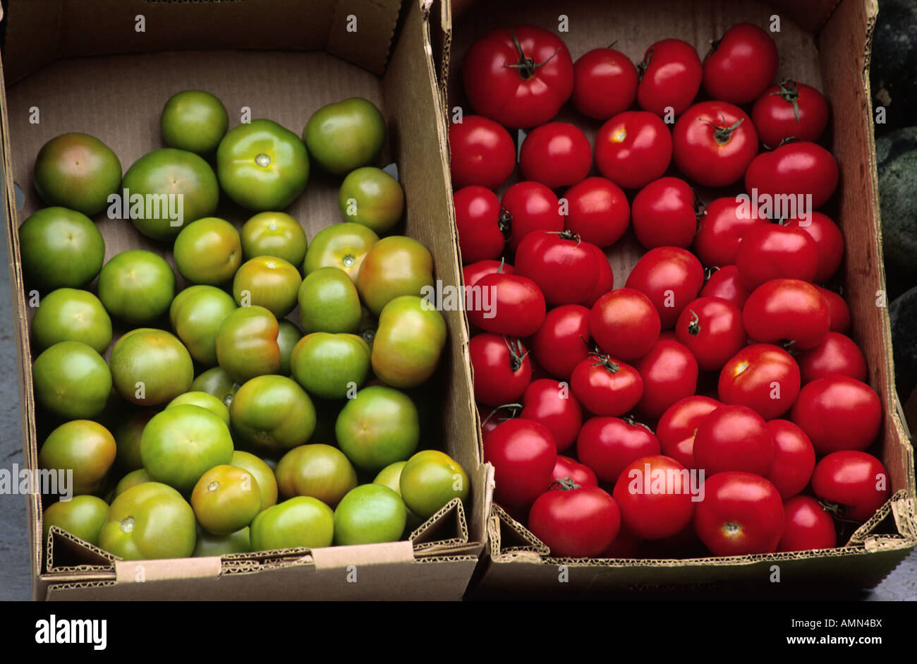 Tomatoes on display hi-res stock photography and images - Alamy
