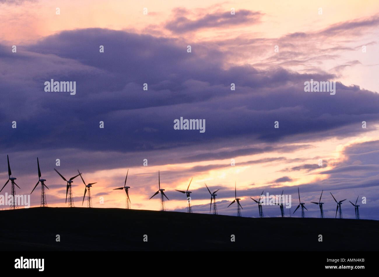 Wind Turbines, Pincher Creek, Alberta, Canada Stock Photo - Alamy