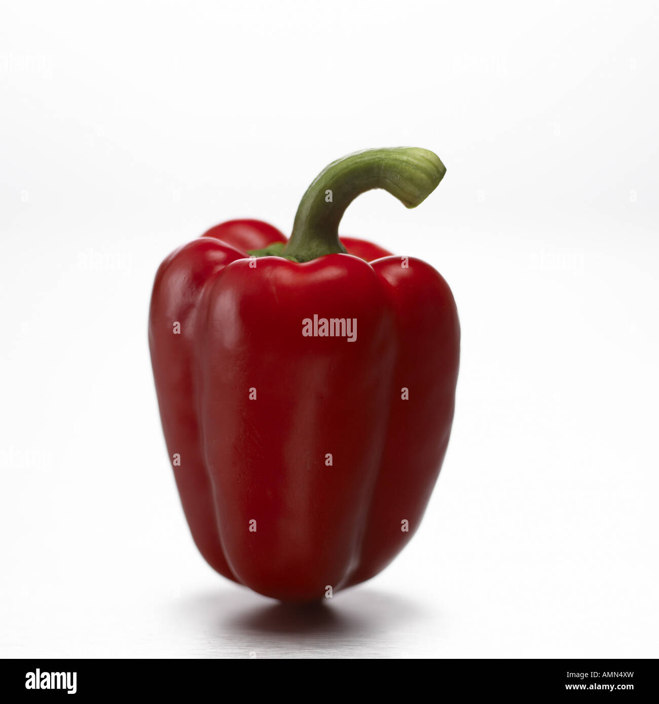 Single red pepper Stock Photo - Alamy
