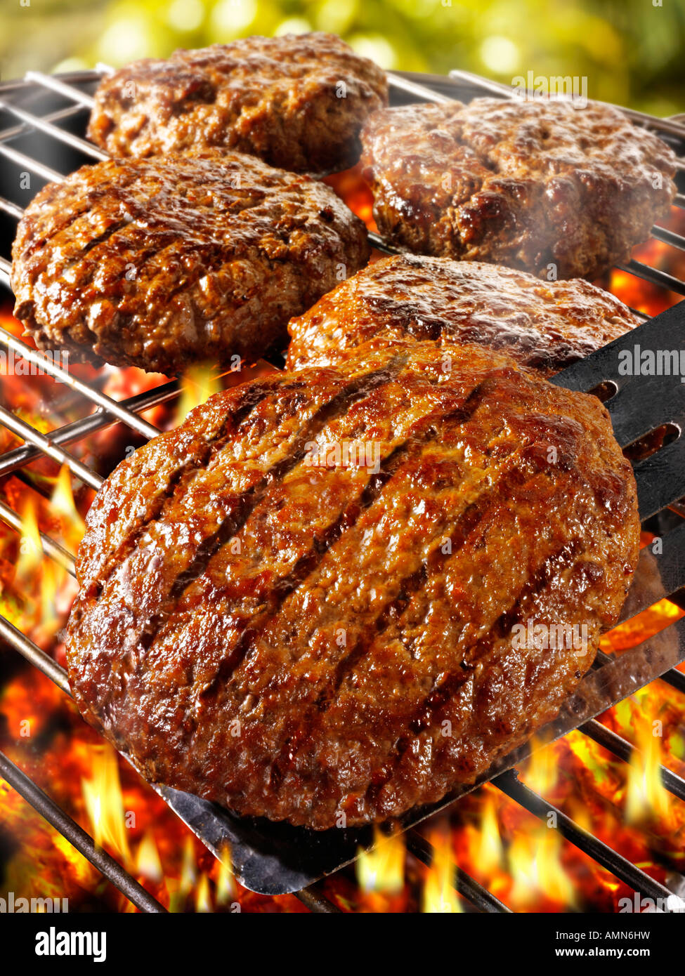 Ayz hi-res stock photography and images - Alamy