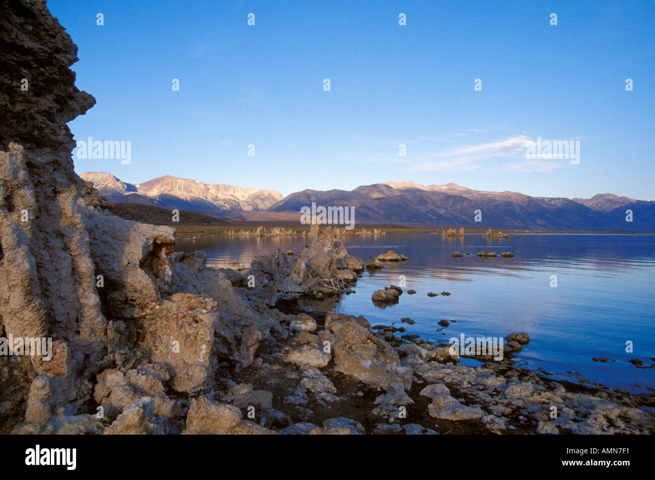 Mona lake hi-res stock photography and images - Alamy