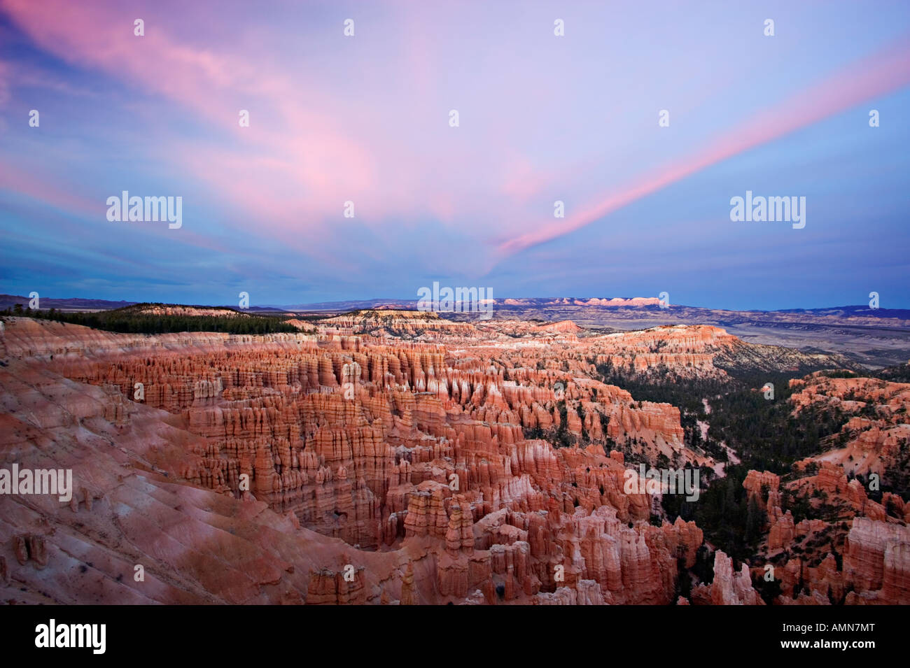 Bryce Canyon Amphitheater at sunset Stock Photo - Alamy