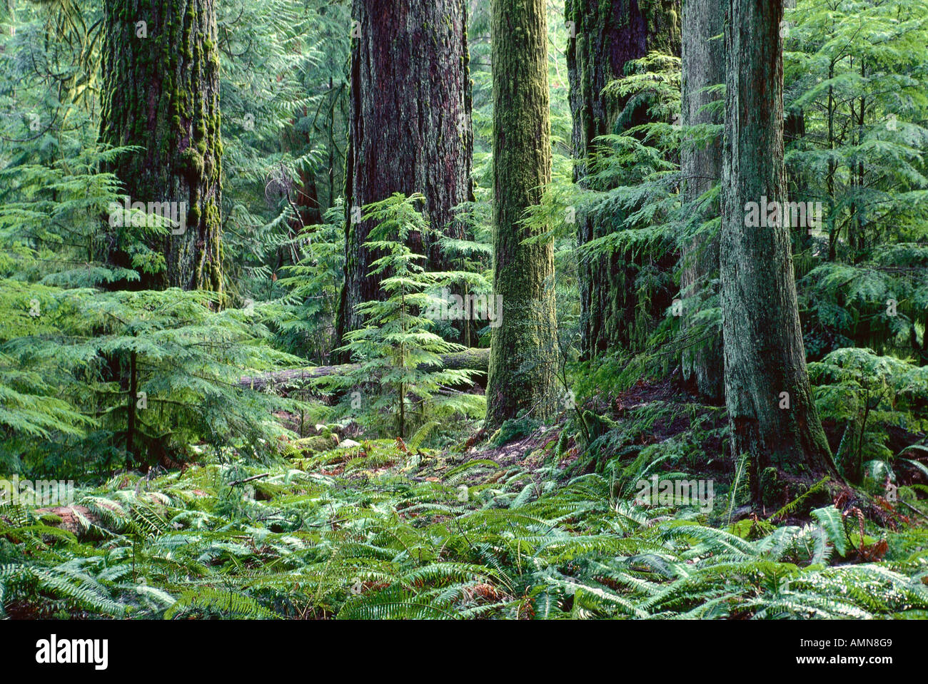 Patterson grove hi-res stock photography and images - Alamy