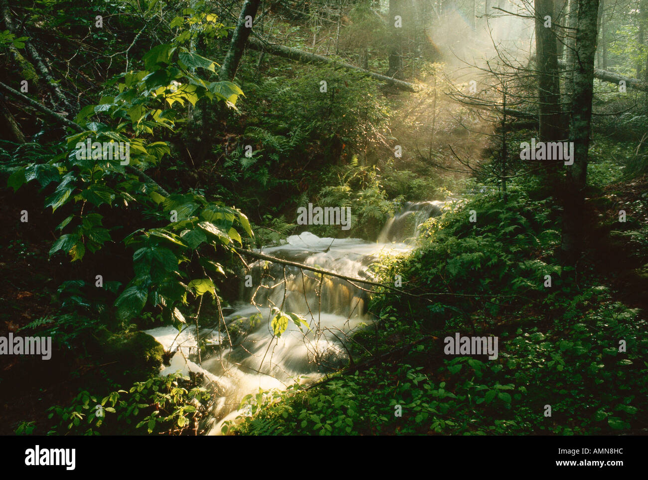 Sunbeam creek falls hi-res stock photography and images - Alamy