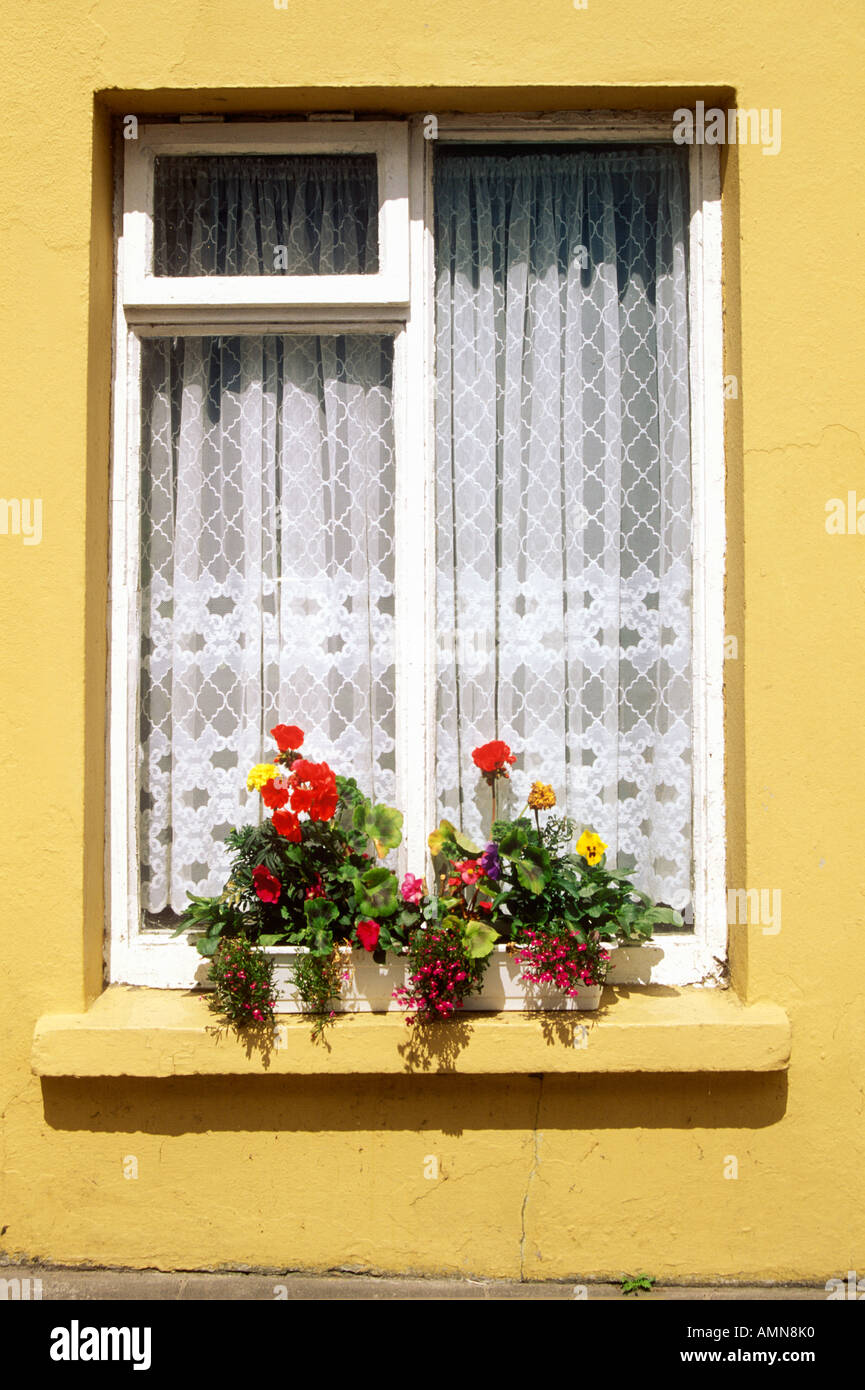 Yellow cottage window with flowers on sill Eyeries Village West Cork ...