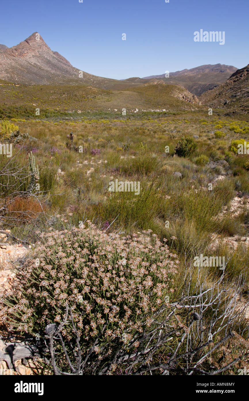 A scenic view of the vegetation along the road leading into the ...