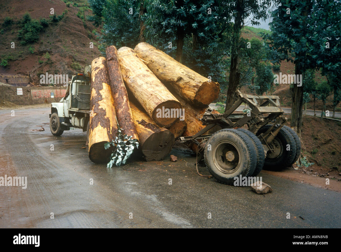 Logging truck accidental log spill Kunming Yunnan Province People s ...