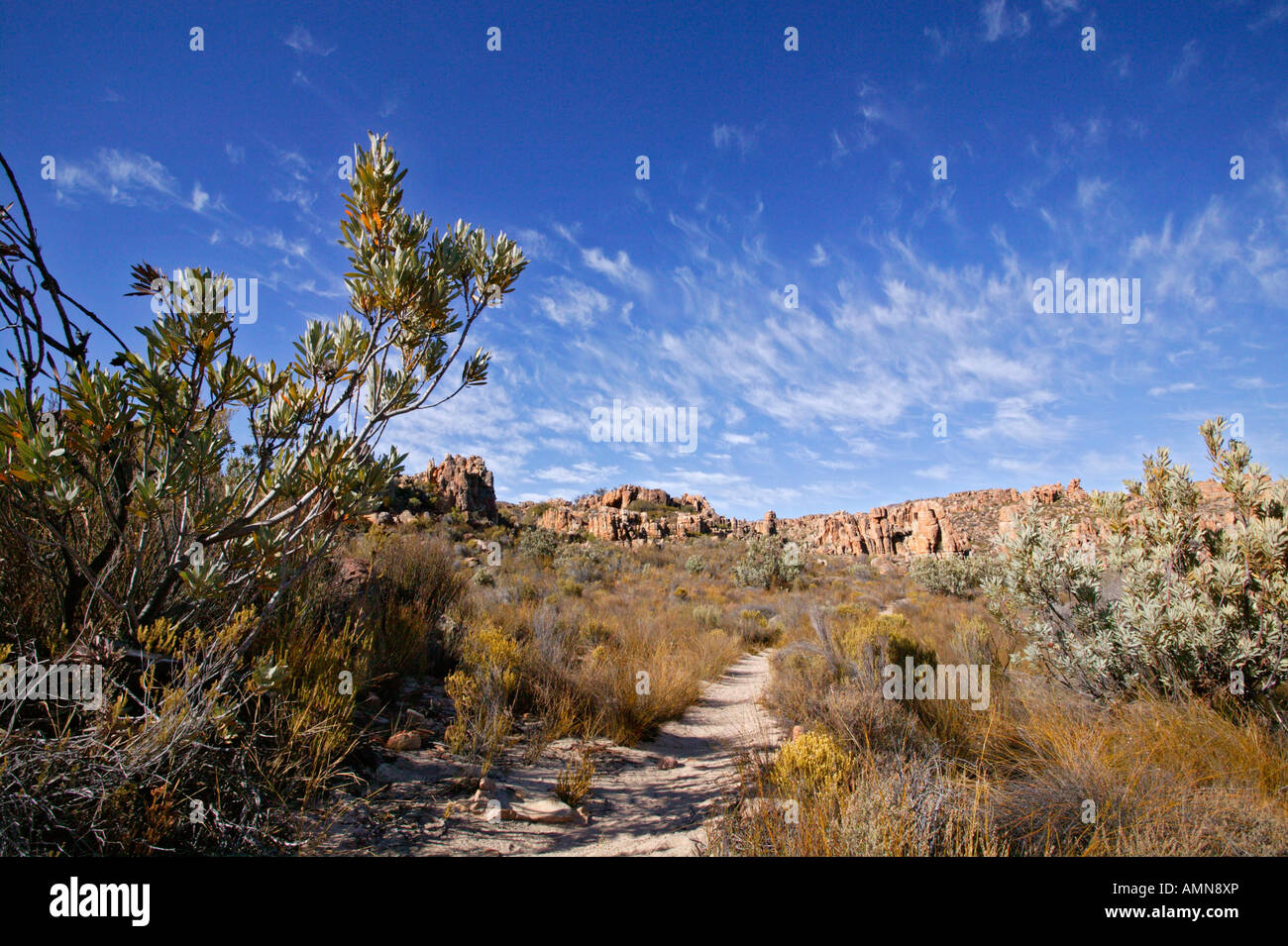 A hiking path through the eroded sandstone rock formations in the ...