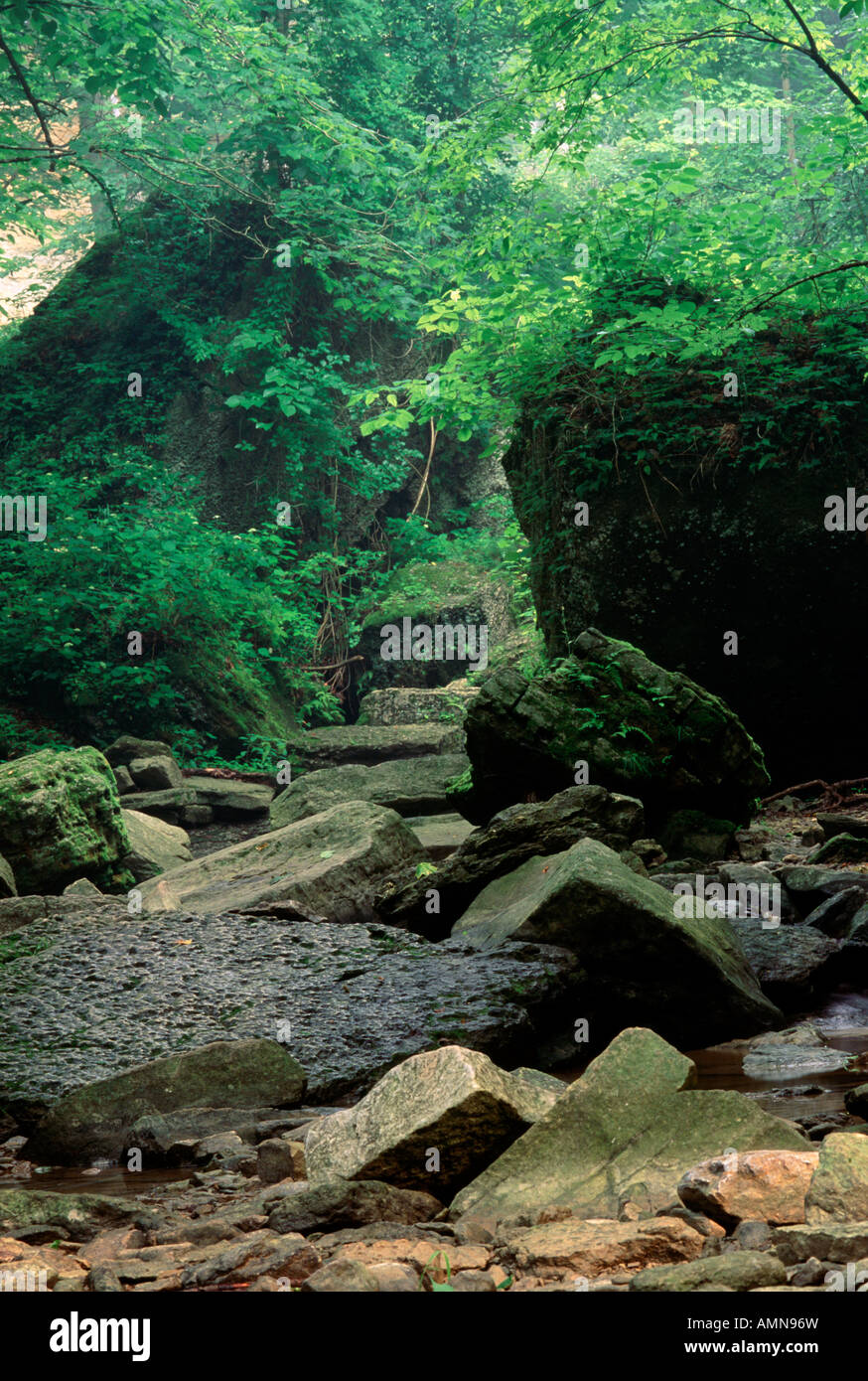 Clifty Creek Canyon, Clifty Falls State Park, Indiana USA Stock Photo ...