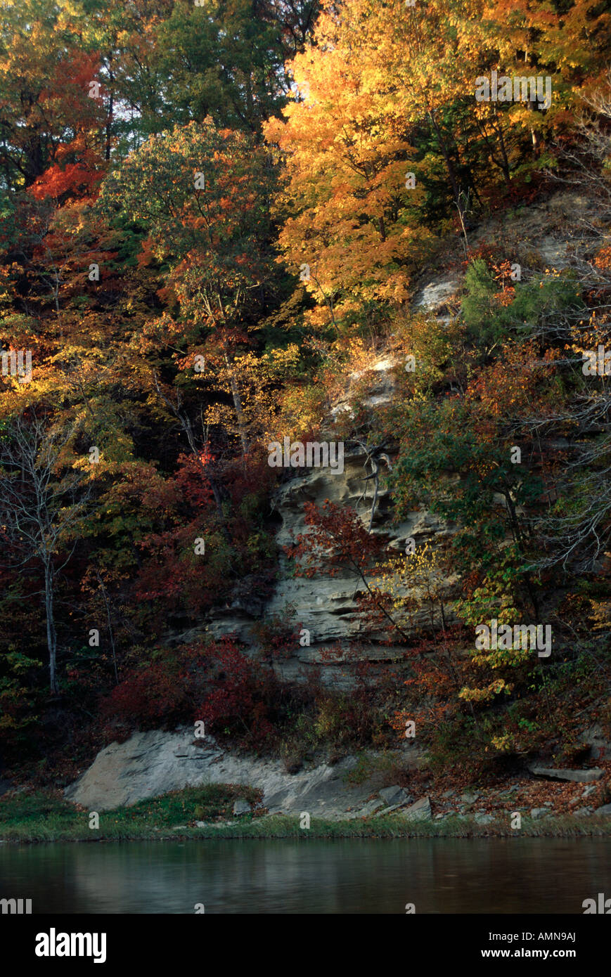 bluff over Sugar Creek, Shades State Park, Indiana USA Stock Photo - Alamy