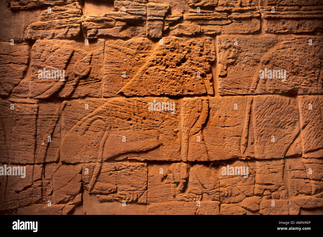 Close-up of the lion on the Lion Temple or the Musawwarat Temple Stock ...