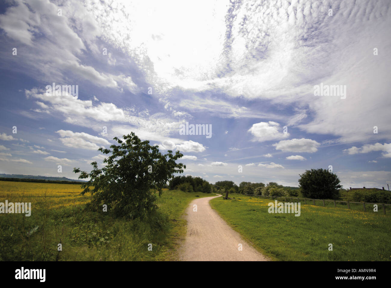 Views from The Greenway Footpath and cycle track disused railway line ...