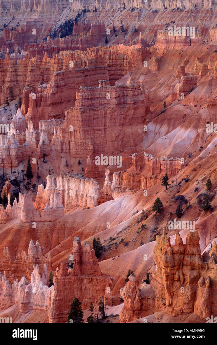 wall of Bryce Amphitheater from Sunrise Point, Bryce Canyon National ...
