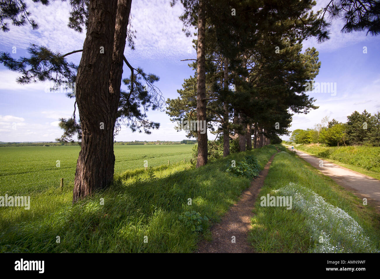 Views from The Greenway Footpath and cycle track disused railway line ...
