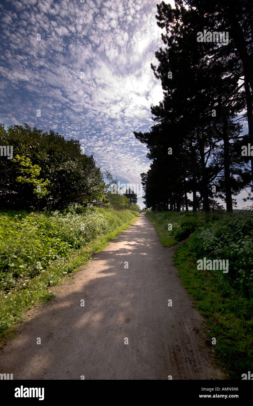 Views from The Greenway Footpath and cycle track disused railway line ...