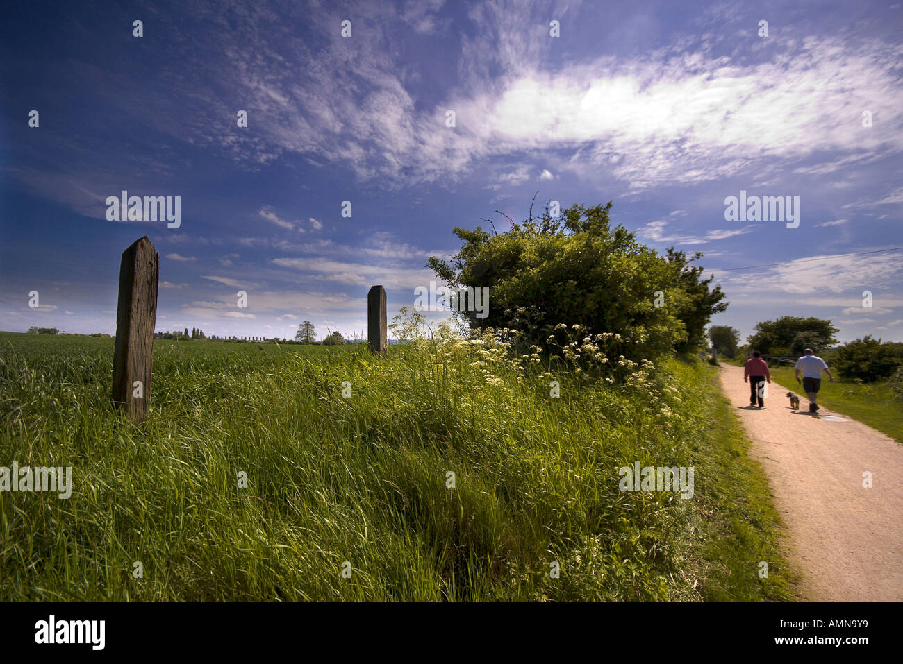 Views from The Greenway Footpath and cycle track disused railway line ...