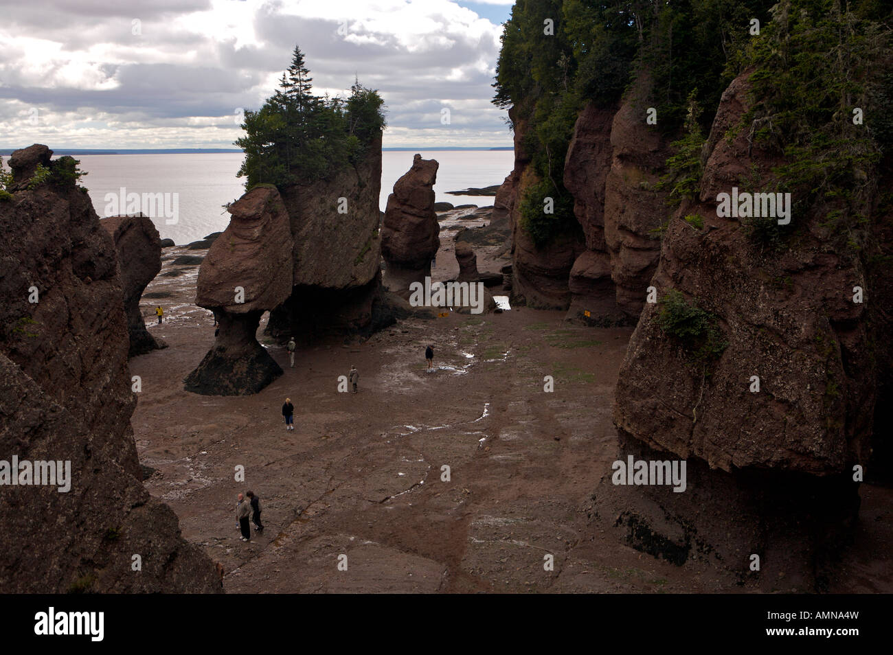 Flowerpot Rocks, Hopewell Rocks, Shepody Bay, Chignecto Bay, Bay of ...