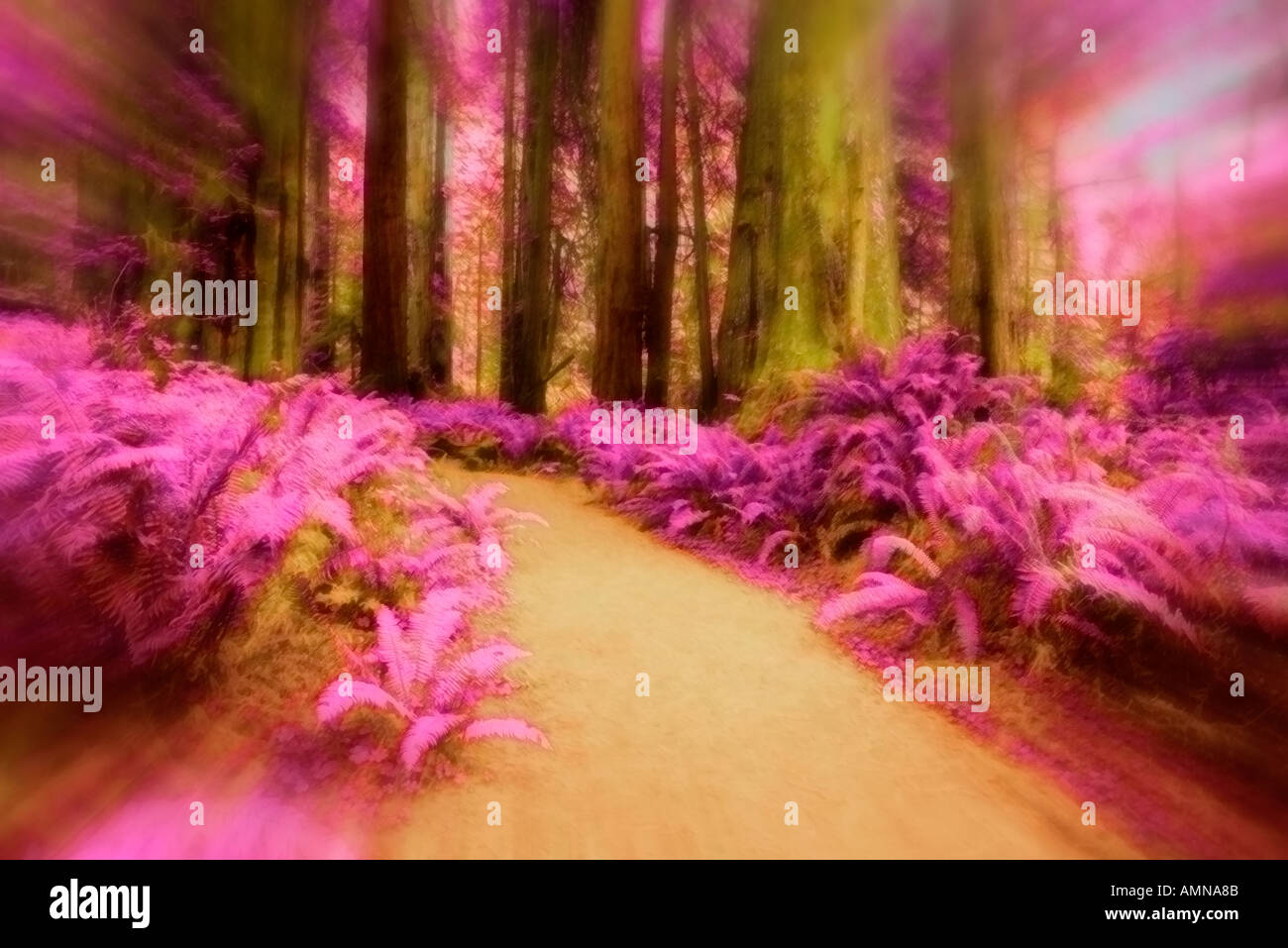 False color composite hi-res stock photography and images - Alamy