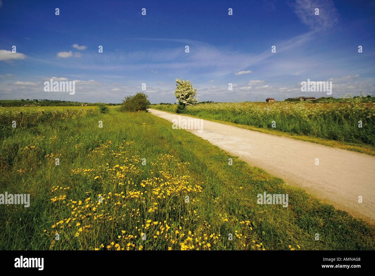 Views from The Greenway Footpath and cycle track disused railway line ...