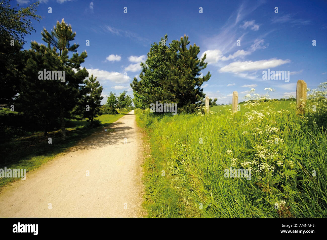 Views from The Greenway Footpath and cycle track disused railway line ...