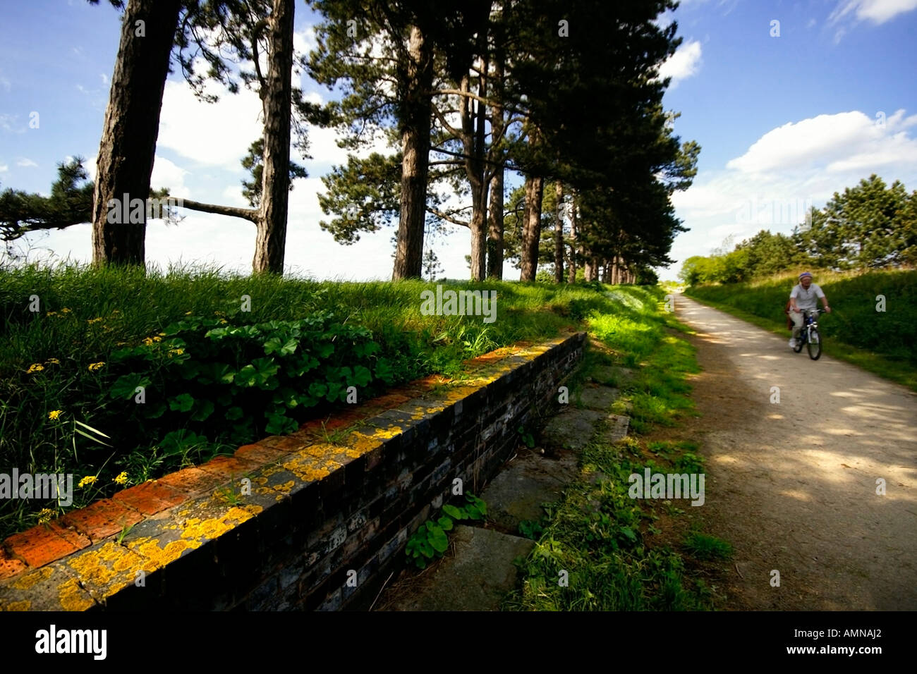 Views from The Greenway Footpath and cycle track disused railway line ...