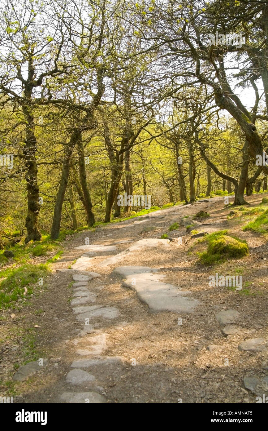england derbyshire peak district national park longshaw estate padley ...