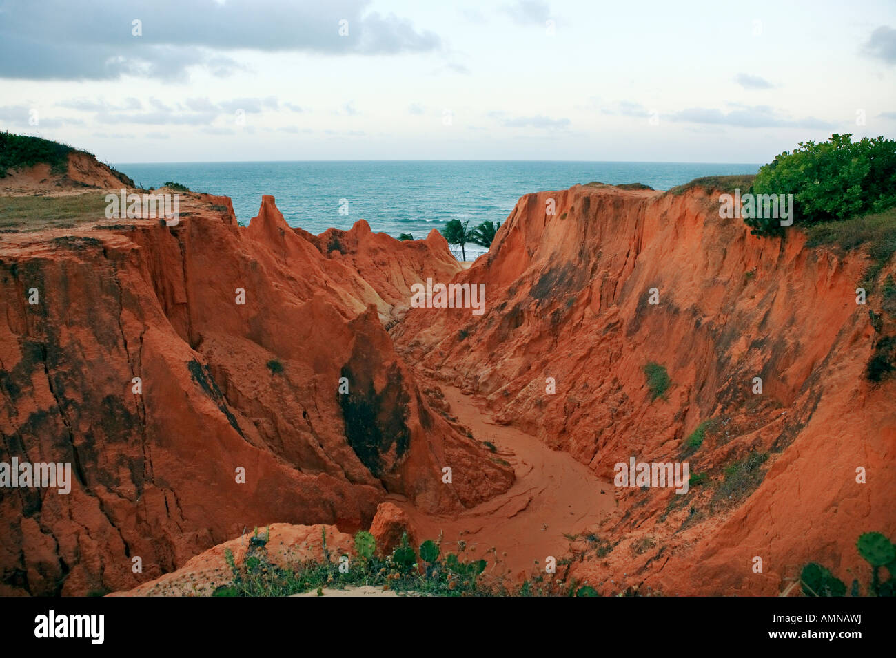 Fortaleza brazil cliff hi-res stock photography and images - Alamy